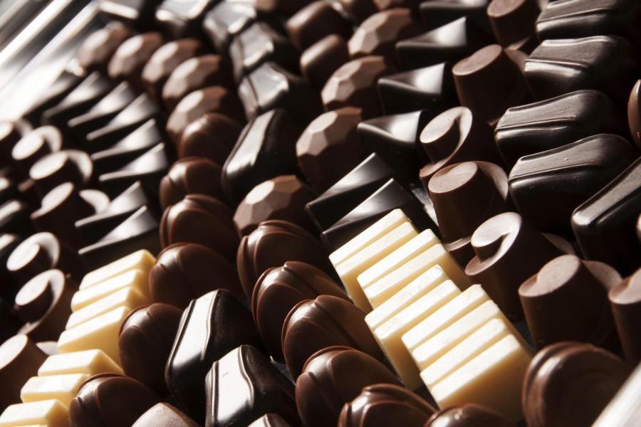 Chocolate is on track to go extinct in 40 years